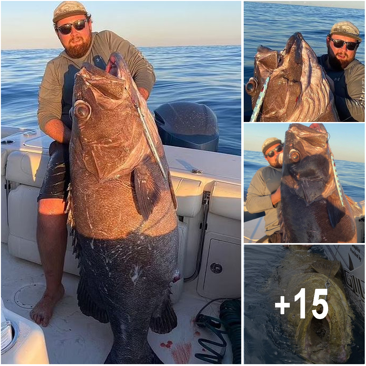 Stunned fisherman lands 'magnificent' 80kg sea creature – but not ...