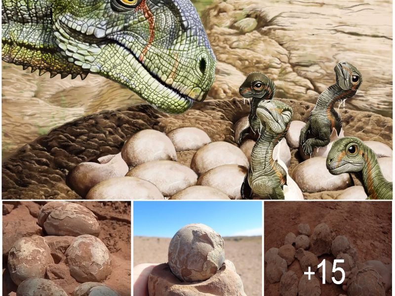 Bald Eagle Gets Buried Up To Its Neck in Snow While Protecting Its Eggs ...